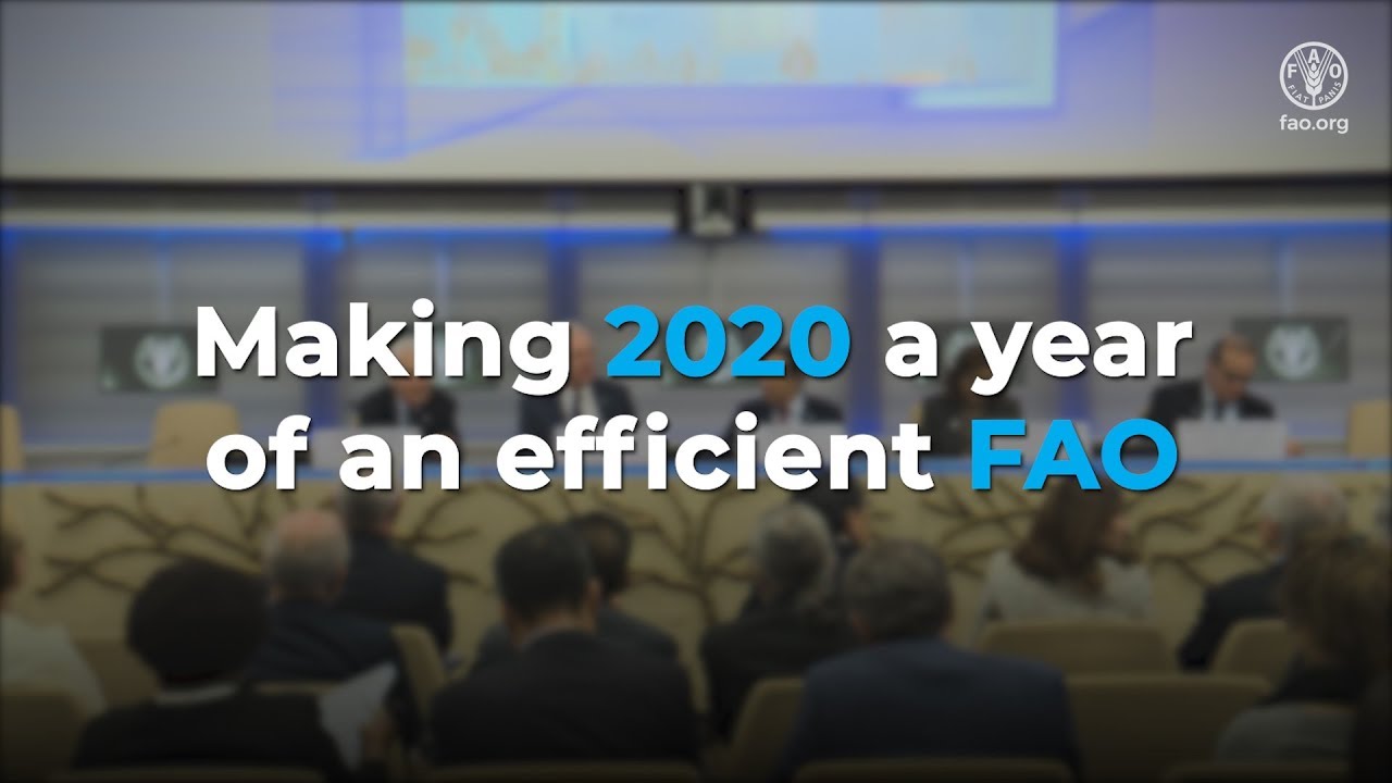 Making 2020 a year of an efficient FAO - YouTube