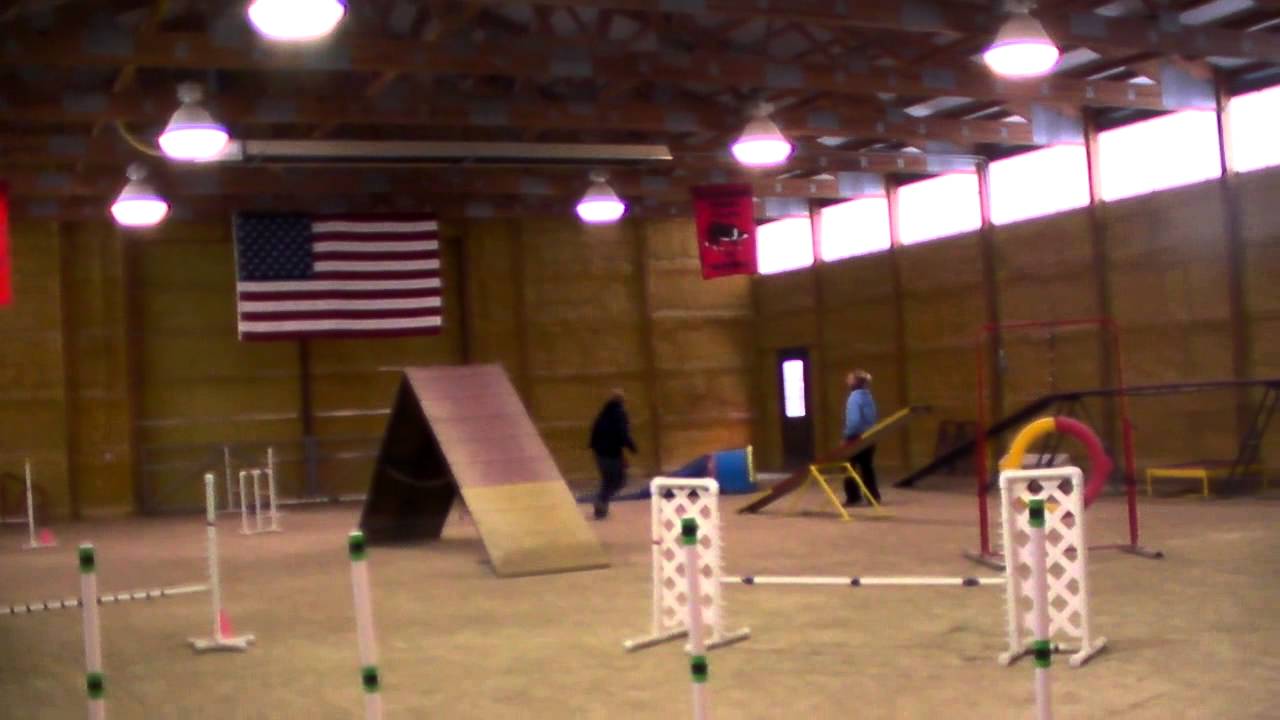 Nova agility class dewey gamble 1 - YouTube
