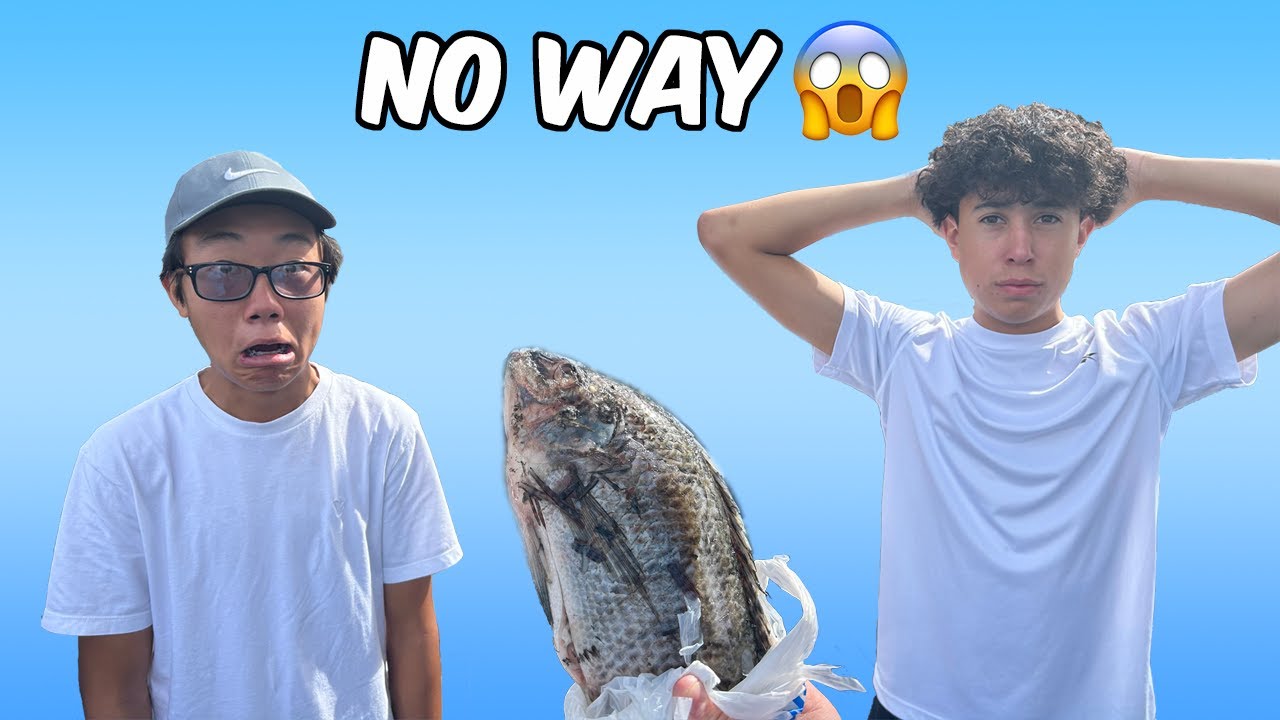 Loser gets slapped by a fish - YouTube