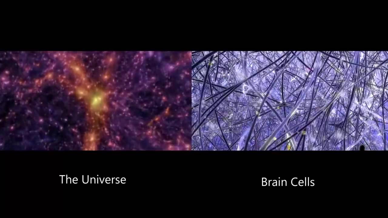 Brain Cells vs The Universe - YouTube