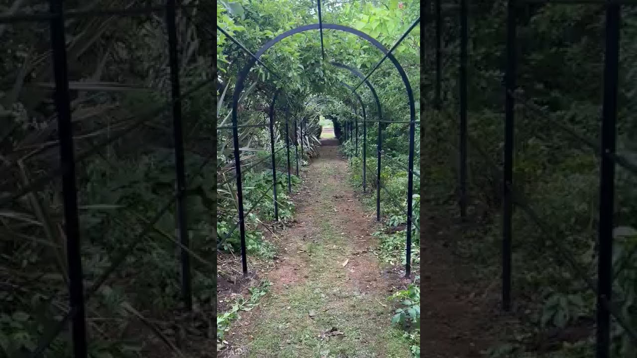 Steel Arch Walk Through - YouTube