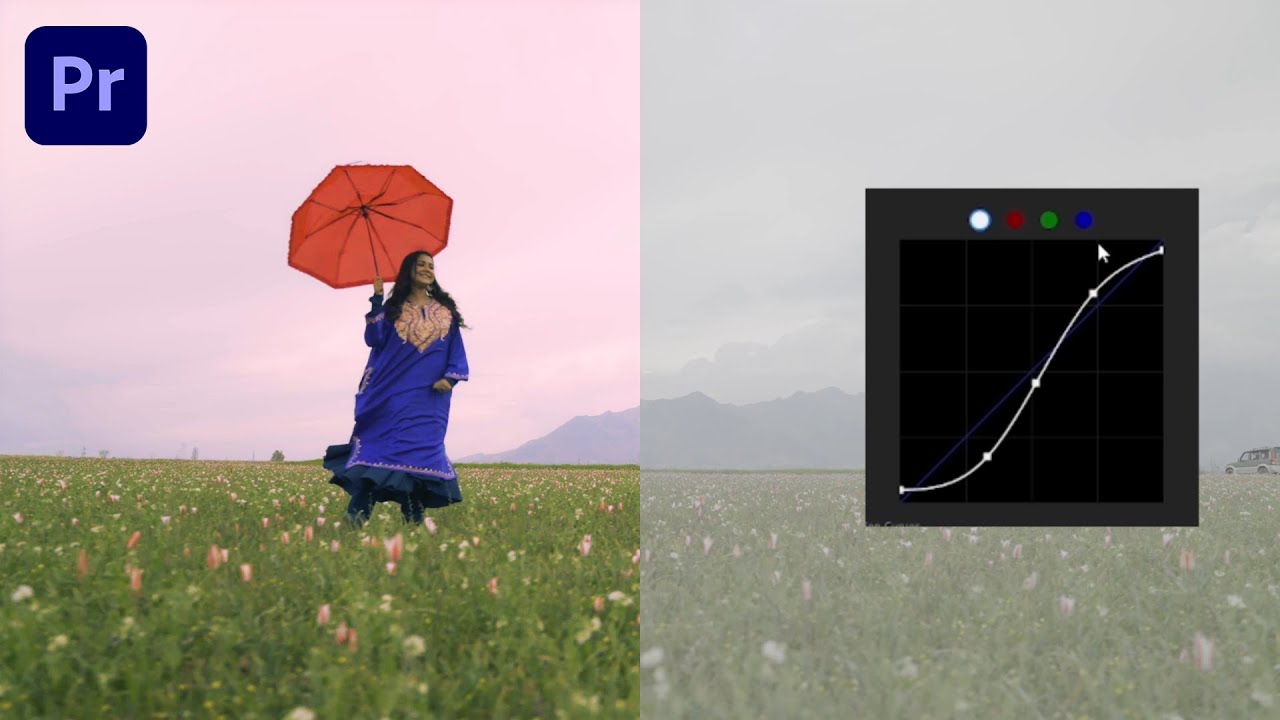 "Master Cinematic Color Grading with Curves in Adobe Premiere Pro ...