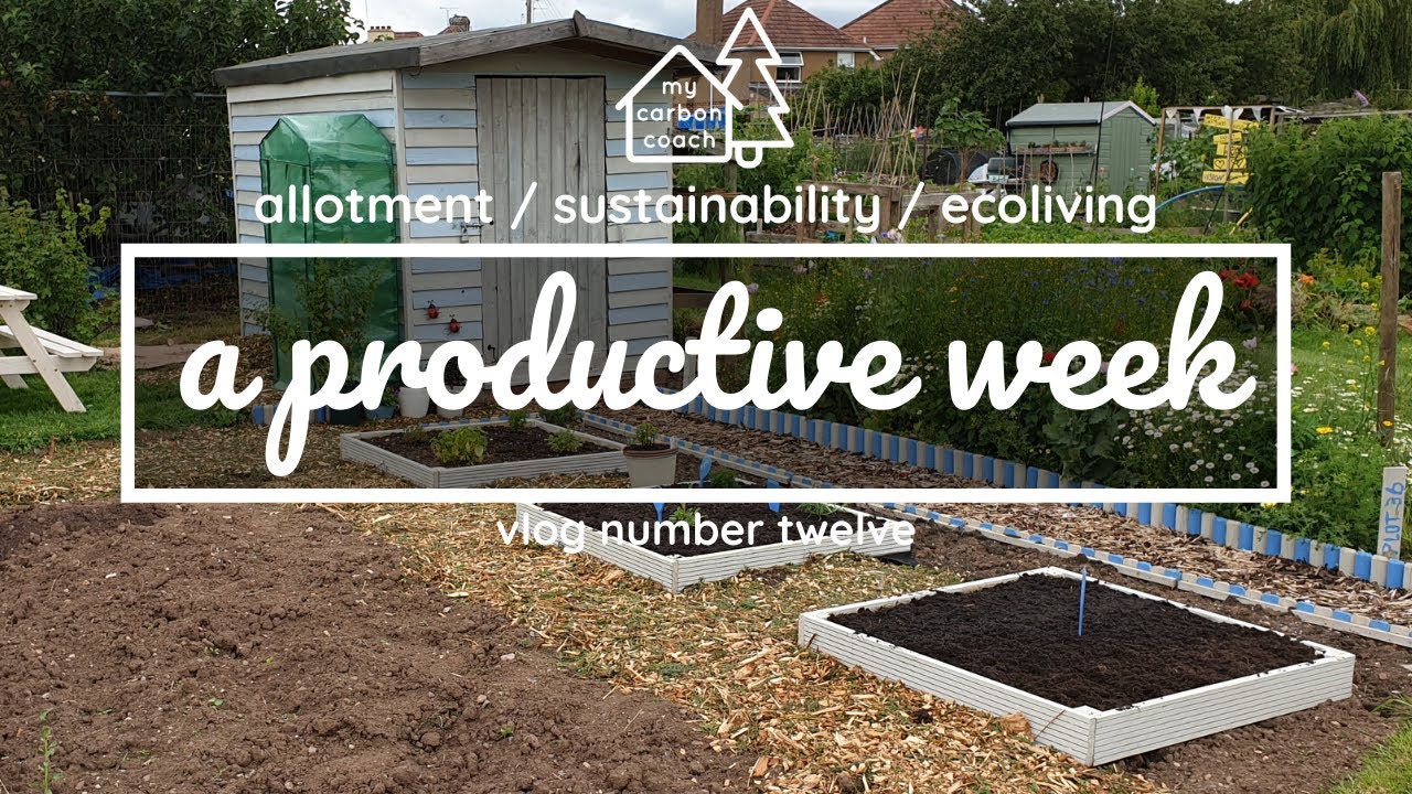 A productive week on the allotment! - YouTube
