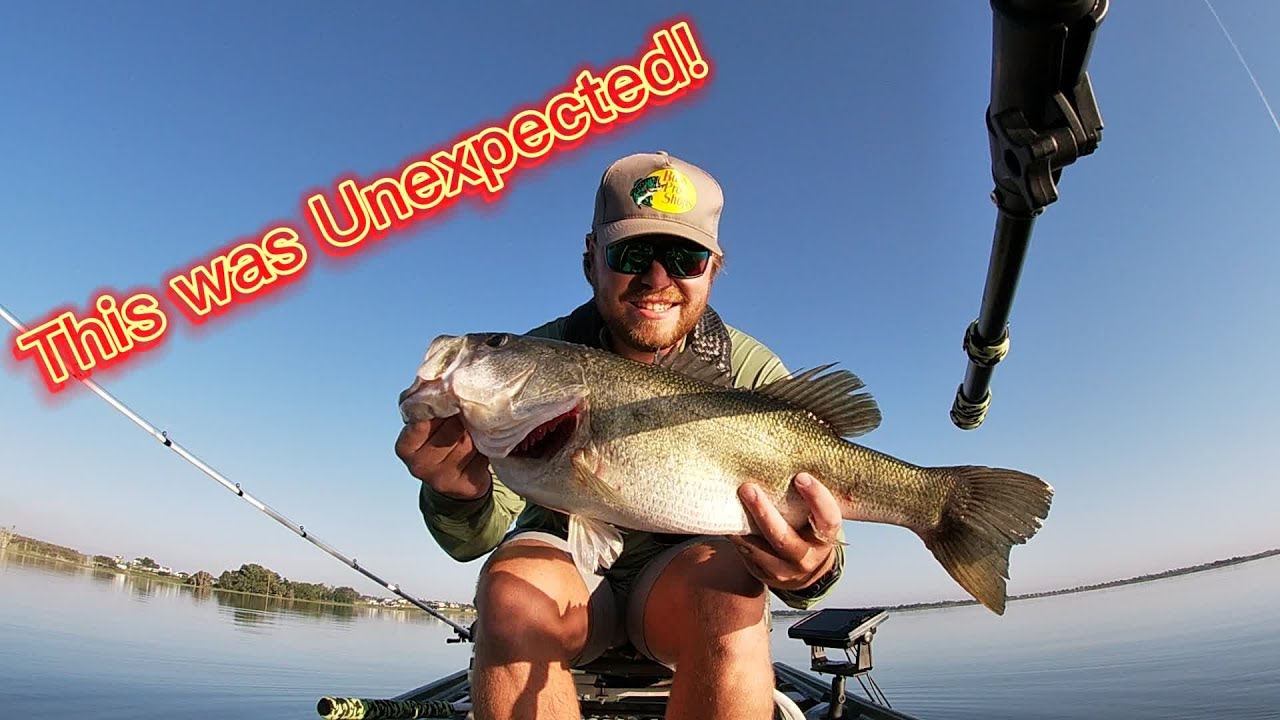 I made Top 3! l Slay Nation Bass Fishing Tournament l Lake Alfred l ...