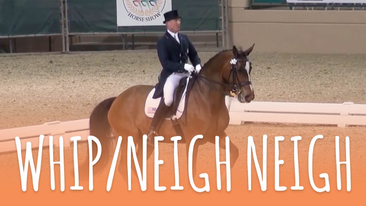Whip/Neigh Neigh - YouTube