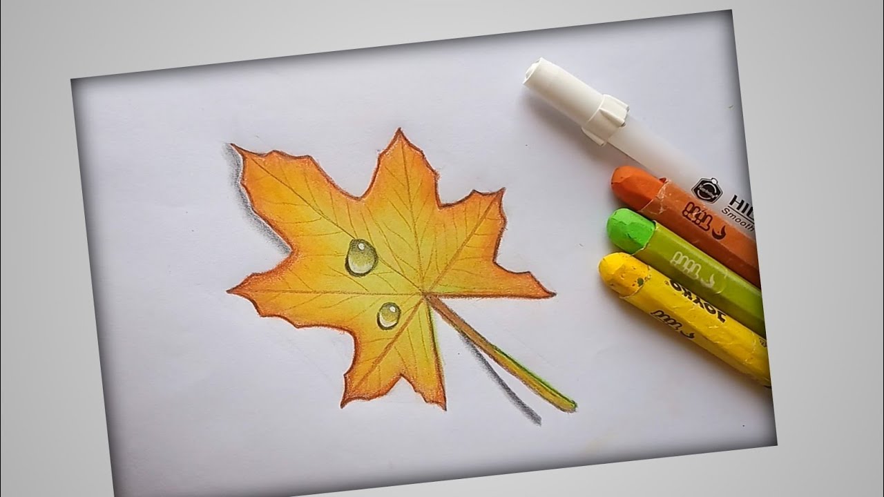How to Draw Maple Leaf Step by Step | How to draw a maple leaf ...