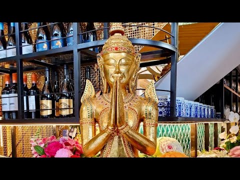 🇦🇺Holy Basil Laos Thai Restaurant Darling Square Now Opens - YouTube