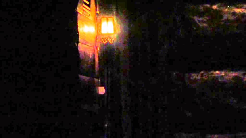 TOKAY GECKO LIZARD - It's Amazing & Unique Call. Listen to it Here ...