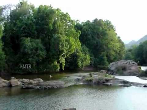 Kalakad Mundanthurai Tiger Foundation - YouTube