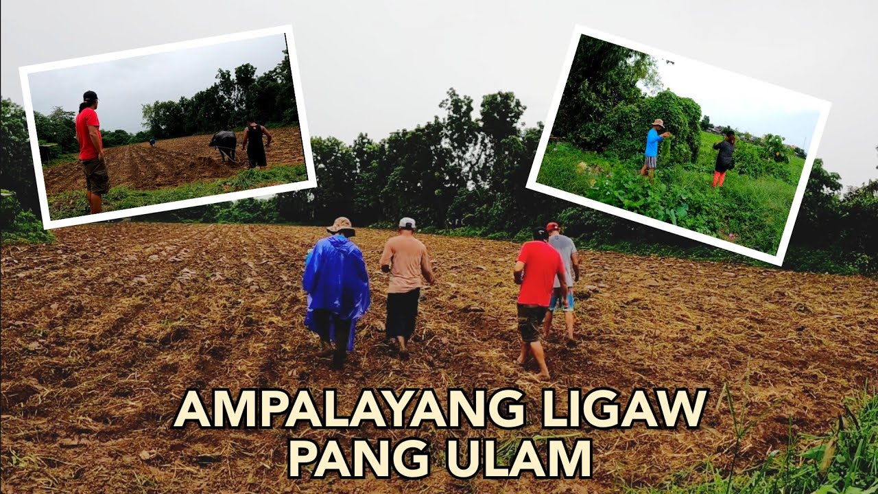 UNANG ARARO AT UNANG TANIM SA BAGONG FARM! - YouTube