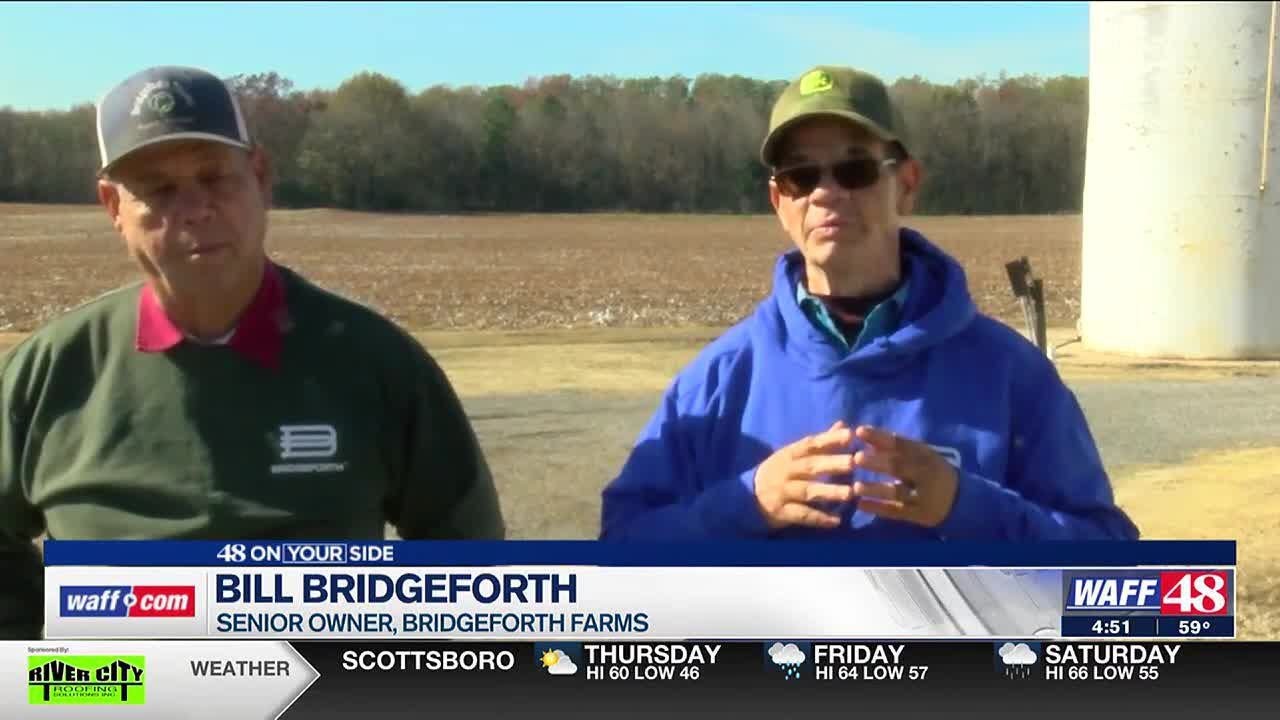 Tanner-based, Black-Owned Bridgeforth Farms teams up with Victoria’s ...