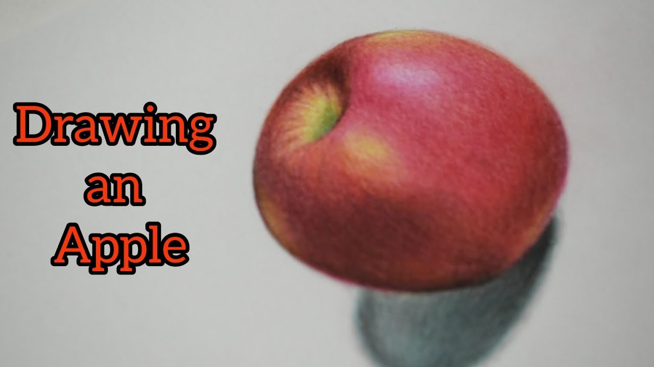 How to Draw a Realistic Apple | Step by Step Tutorial - YouTube