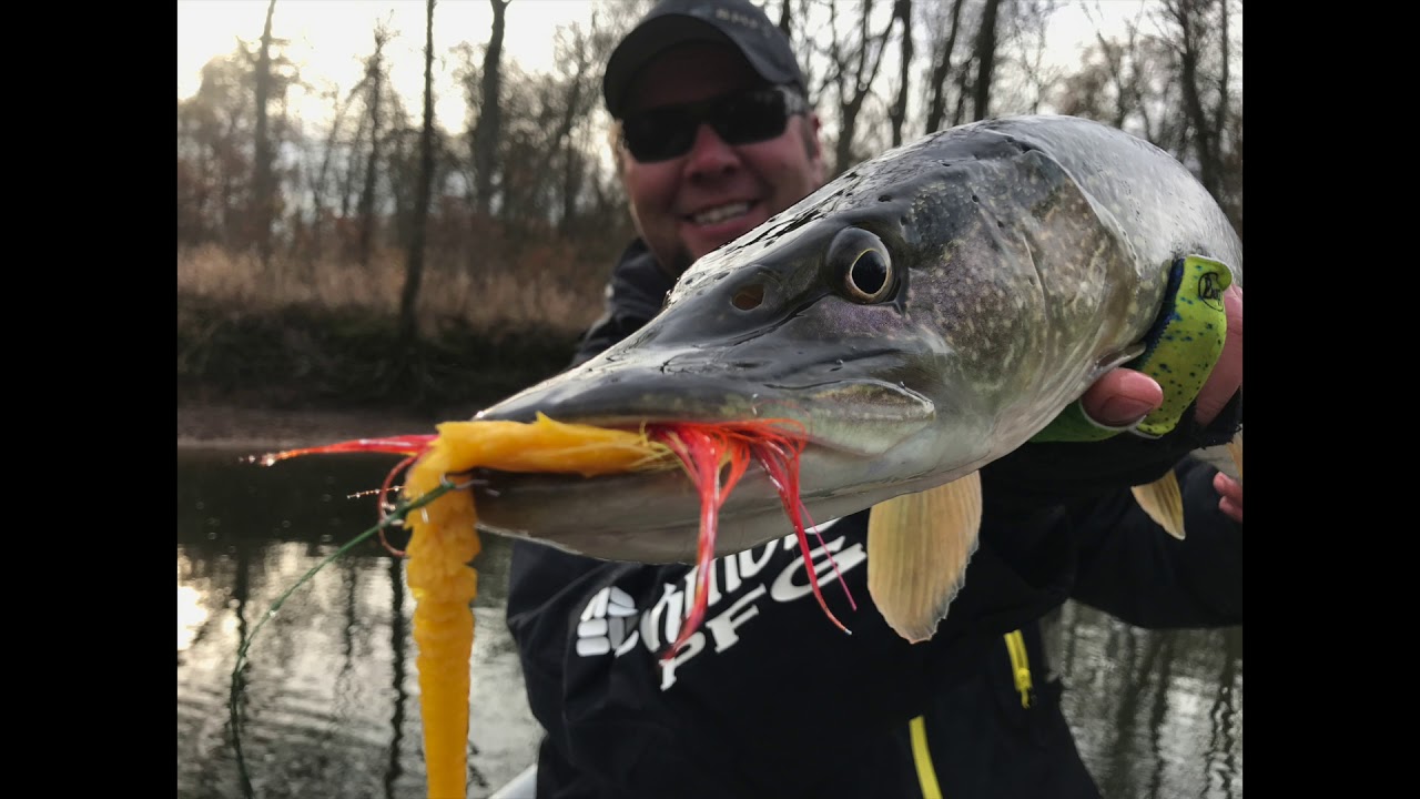 ORVIS - Fly Tying - Dragon Tail Flies - YouTube