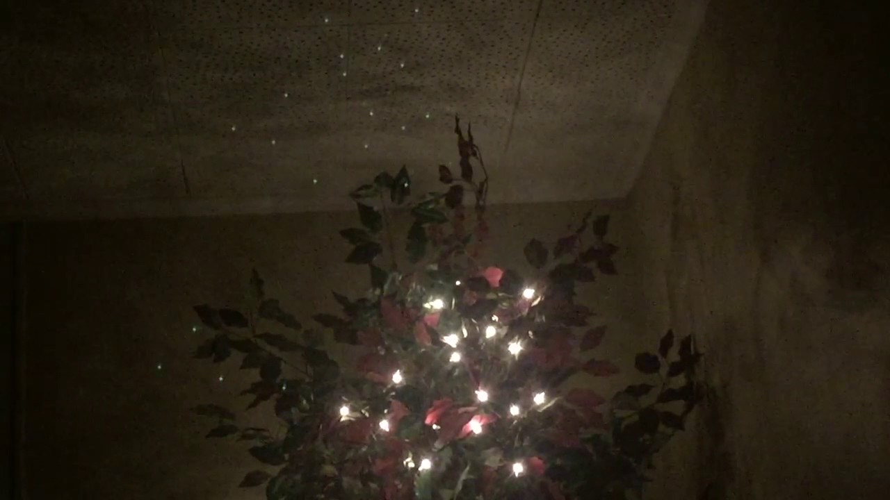 Om mani padme hum mantra... Chanted by Calvin stover - YouTube