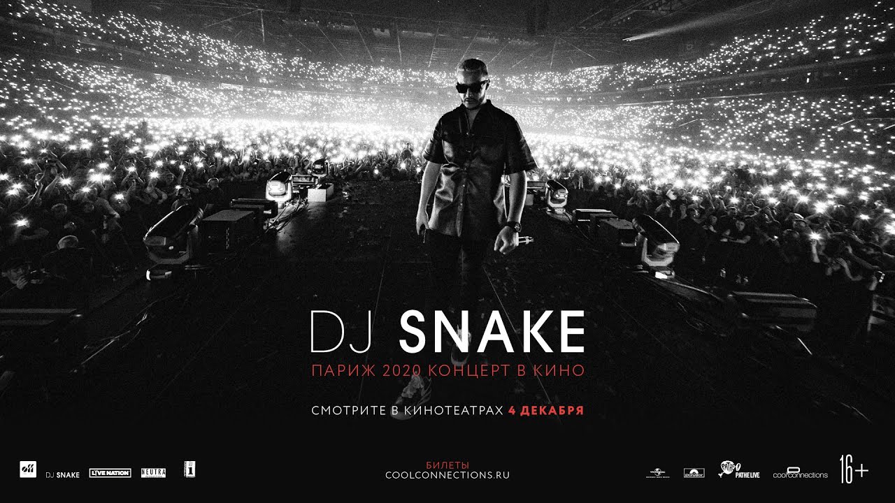 DJ SNAKE: Париж 2020. Концерт в кино / DJ SNAKE – Paris 2020 Live Show ...