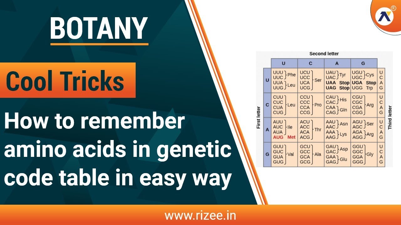 Cool Tricks | Genetic Code | Molecular basis of Inheritance | Botany ...