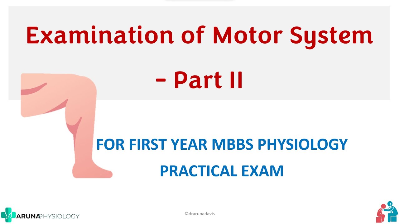 Examination of Motor System Part II | Clinical Examination |Physiology Practicals | First year ...