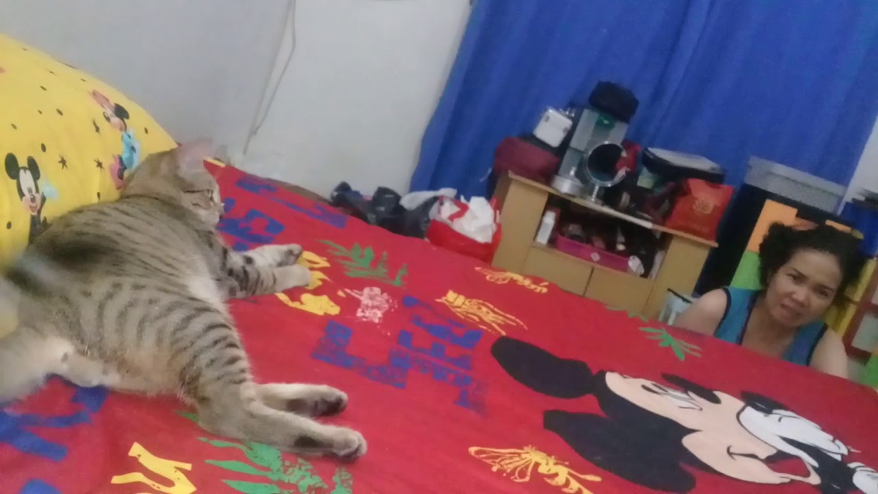Chester Charlie 1mei18 abcd - YouTube