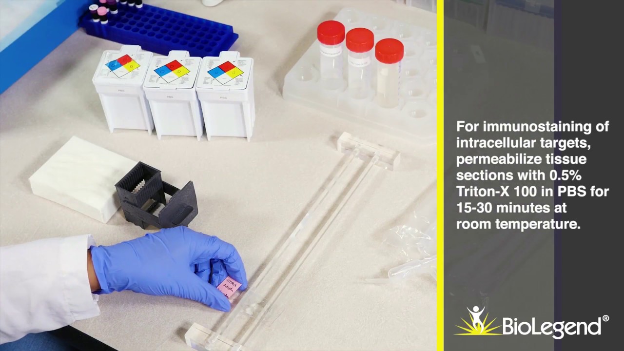 Frozen Tissue Slide Preparation and Processing - YouTube