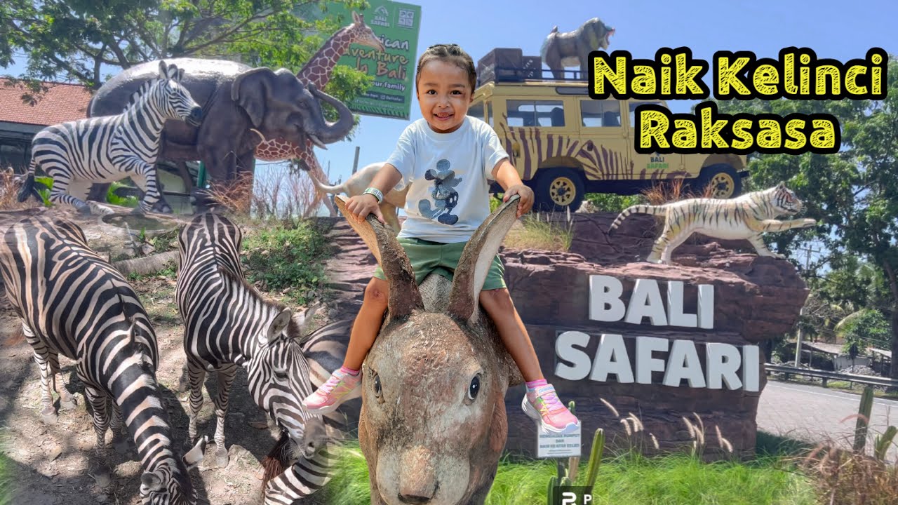 Naik KELINCI RAKSASA🫣 | SERU Berlibur di BALI SAFARI | ada Hewan ...