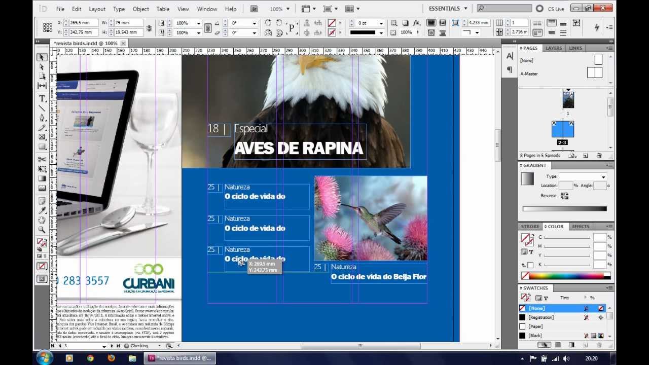 InDesign CS5 - Revista básica - Parte 3 de 8: construindo o sumário ...