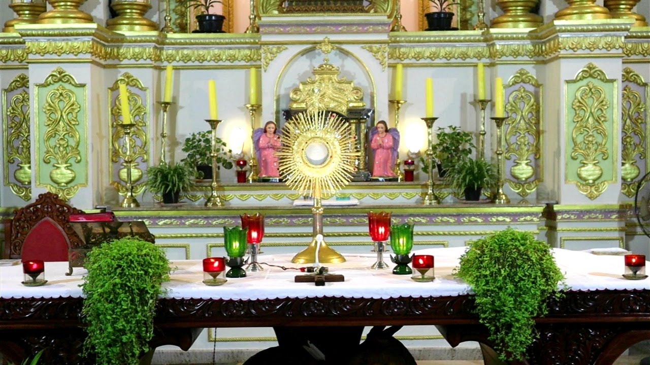 SUNDAY HOLY MASS-LIVE |NOV-1| ST. FRANCIS XAVIER'S CHURCH KARANCHIRA ...