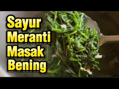 Cara masak SAYUR MERANTI masak BENING/ AIR#jommasak #masakair # ...