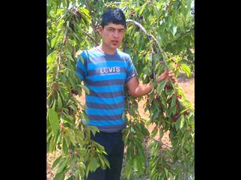 DeqirmenDere GenLiK