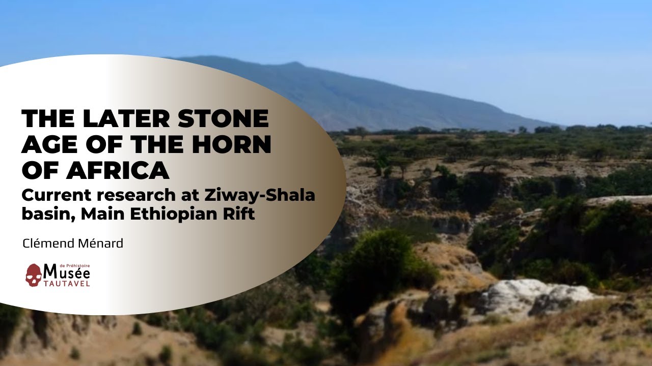 The Later Stone Age of the Horn of Africa: Research at Ziway-Shala ...