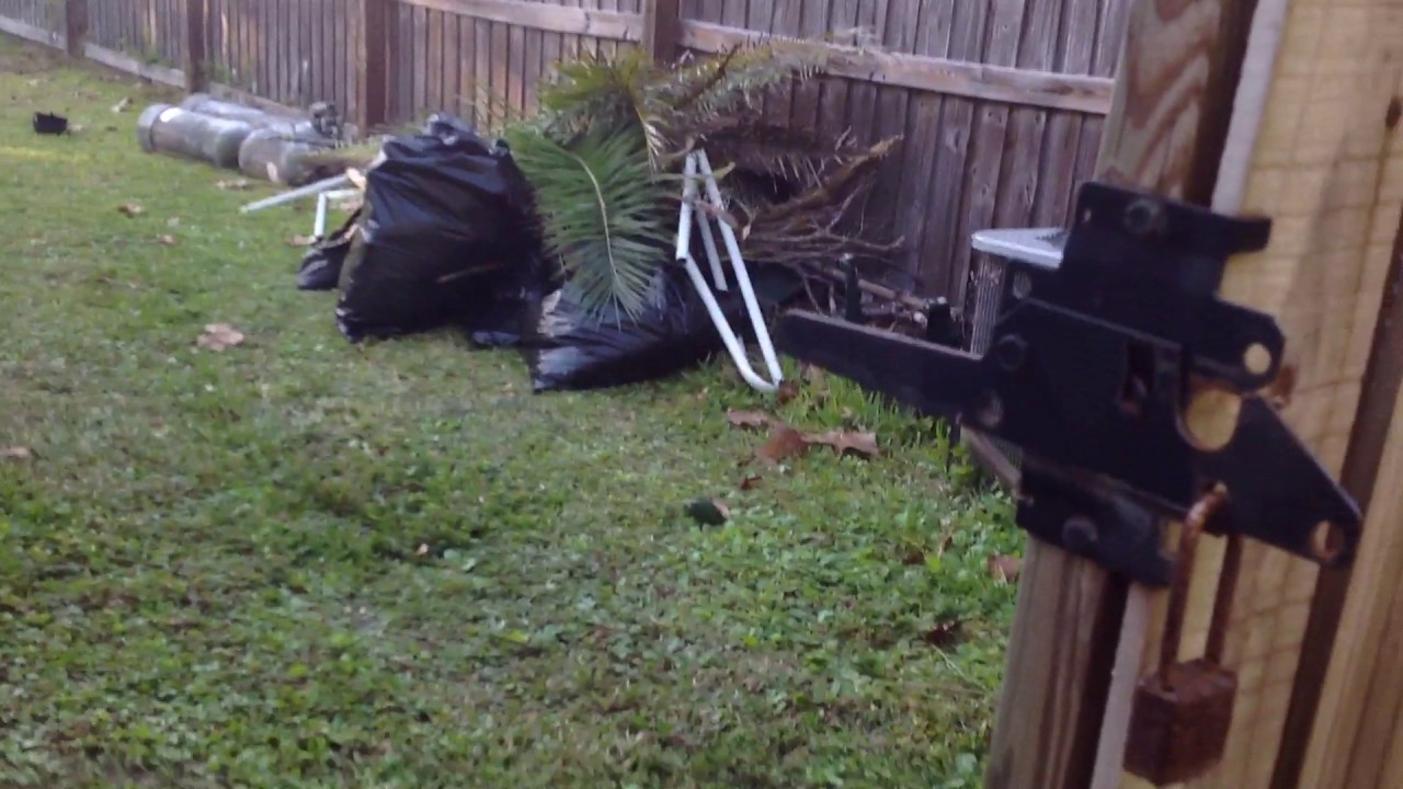 Nut war part 2 - YouTube