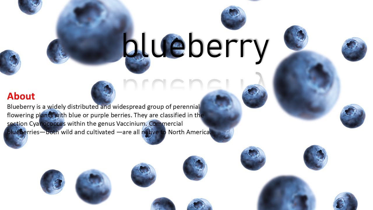 blueberry #animation #powerpoint - YouTube