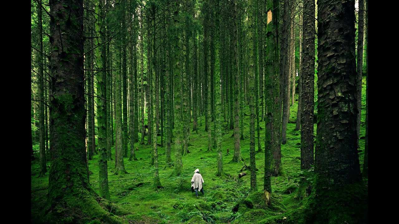 Nature ASMR- Discover the Blissful Wonders of ASMR in Nature - YouTube