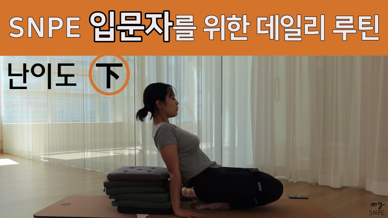 [맹쌤SNPE] 입문자&초보자를 위한 SNPE 데일리 루틴! (8가지 동작 골고루) - YouTube