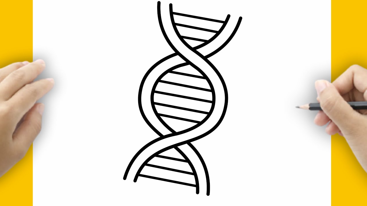 HOW TO DRAW A DNA DOUBLE HELIX | DNA DRAWING EASY - YouTube