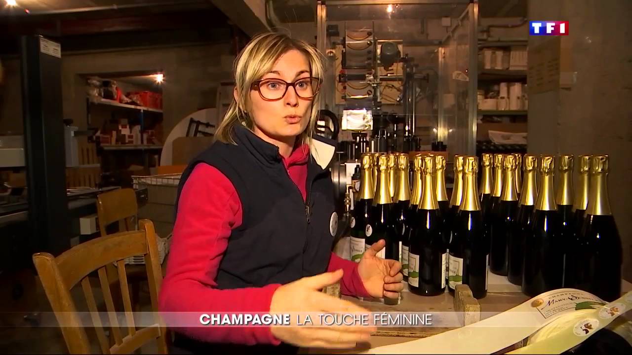 TF1_20H JT weekend du 27 décembre2015 - YouTube