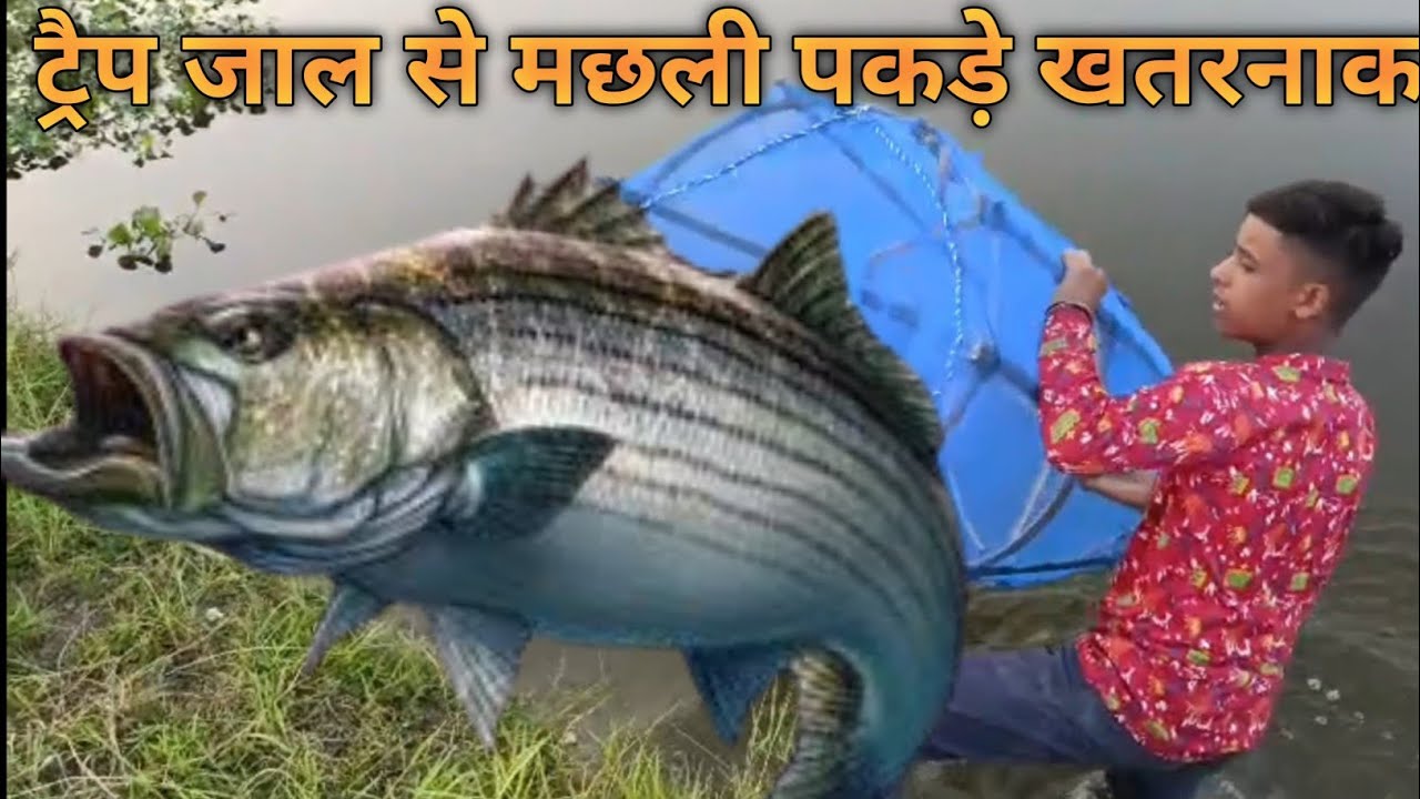 Trap jaal se Fish pakde amazing video unique fish trapping - YouTube