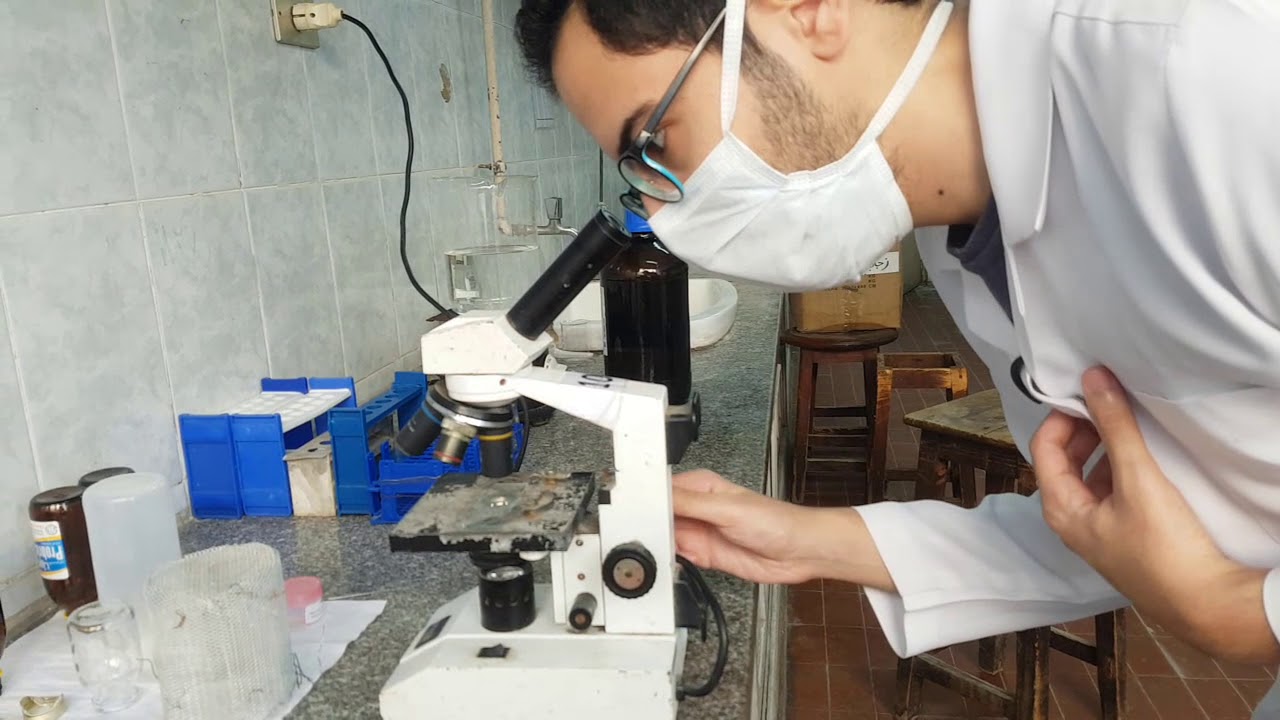 Microscope Handling and Slide Preparation - YouTube