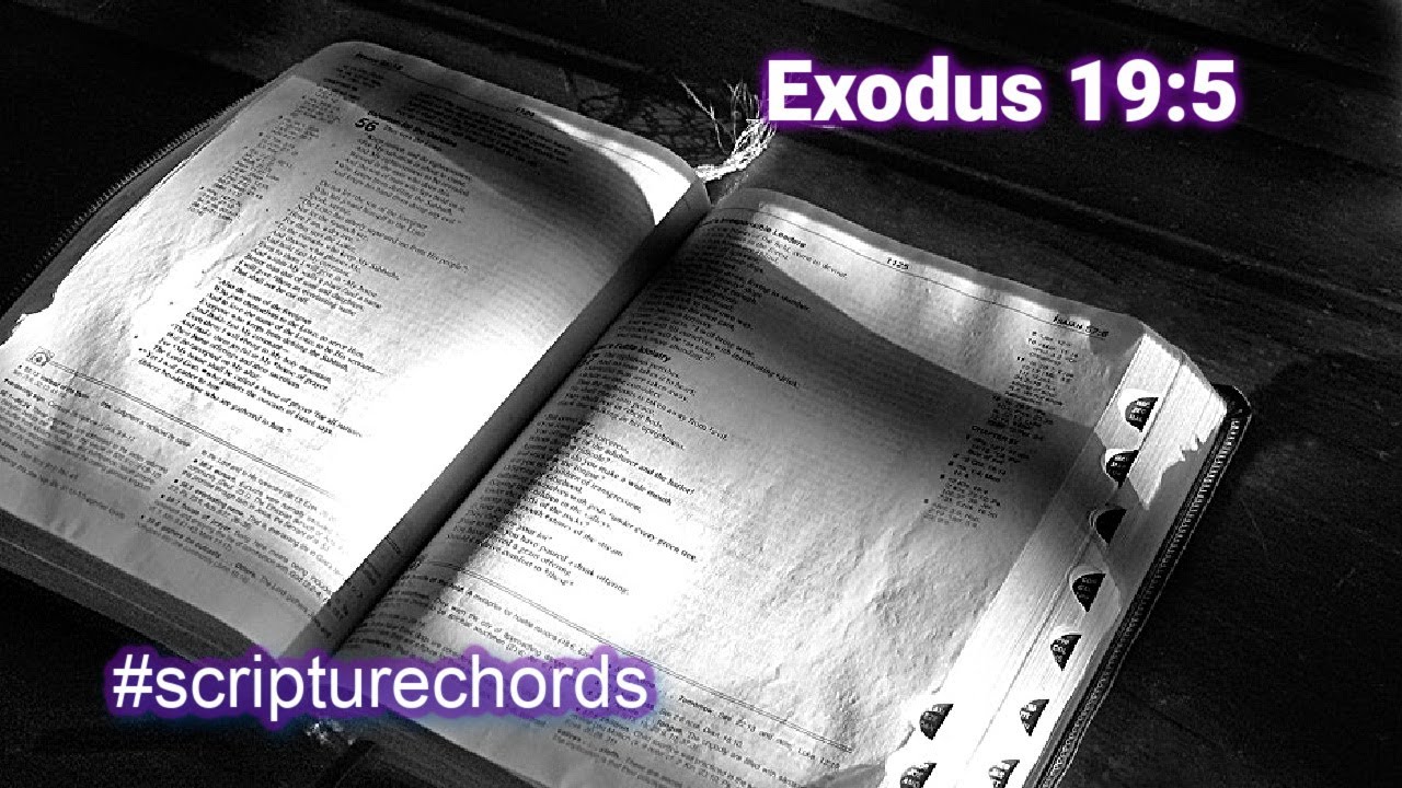 Exodus 19:5 With SOOTHING ARRAY MBIRA #scripturechords - YouTube
