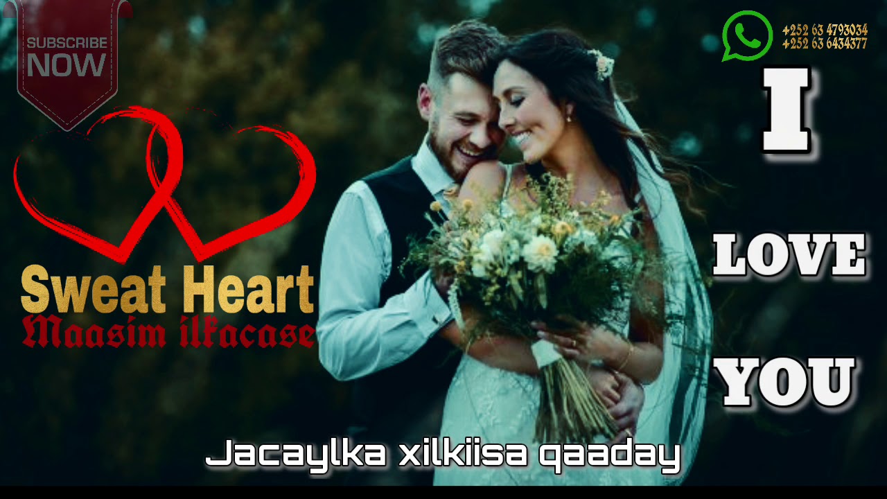 Hees macan ♡ WhatsApp status - YouTube