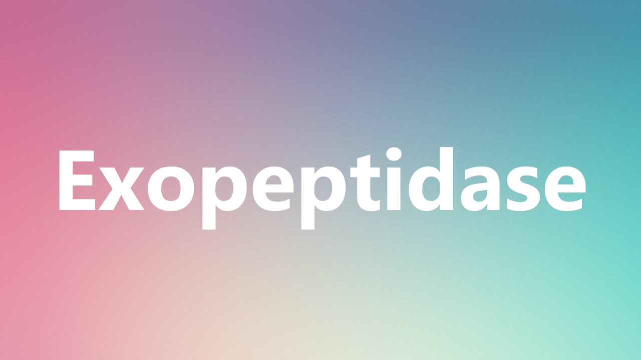 Exopeptidase - Medical Definition and Pronunciation - YouTube