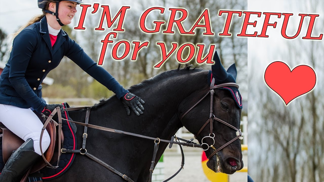 Why I appreciate you. Pets add life ♥ - YouTube