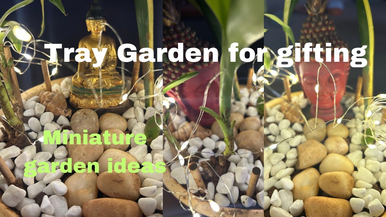Tray Garden in 10 mins / Creative gardening /miniature garden ideas 🪴 🌱 ...