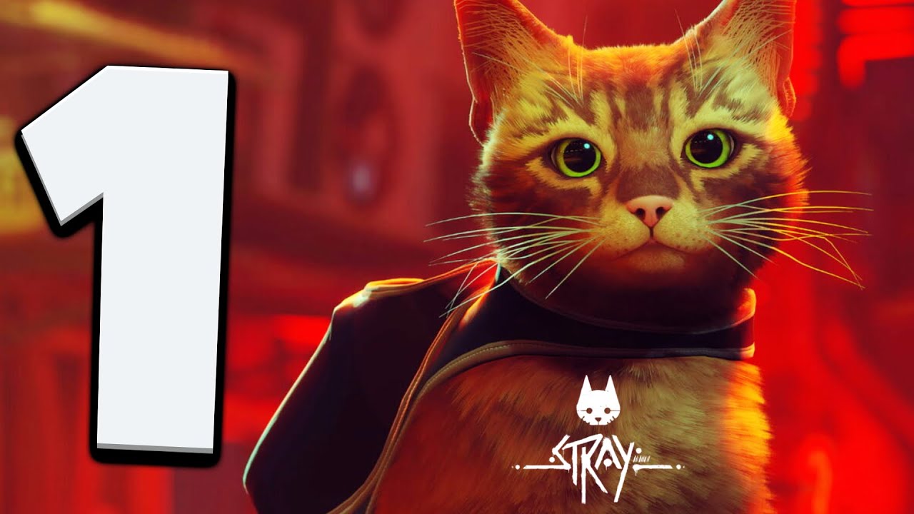 L'INIZIO DI STRAY - [Walkthrough Gameplay ITA HD] Ep.1 STRAY PC Uncut ...