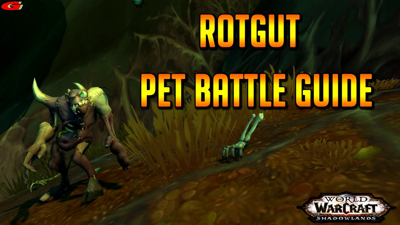 Rotgut Pet Battle Guide - Shadowlands - YouTube