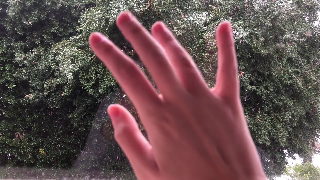 Wintry Mix Window Tapping NO TALKING | ASMR window tapping, scratching ...