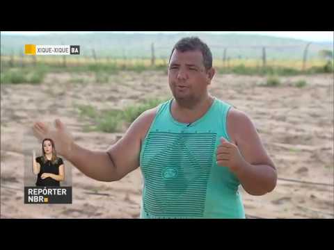 BOLETIM REPÓRTER NBR 15h - 23 de março de 2018