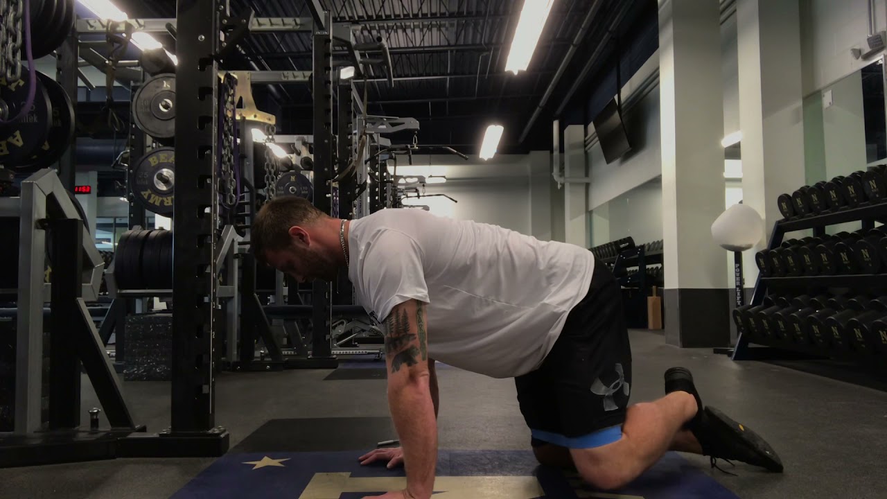 Quadruped Clamshell Hip (Ext. Rotation + Abduct) - YouTube