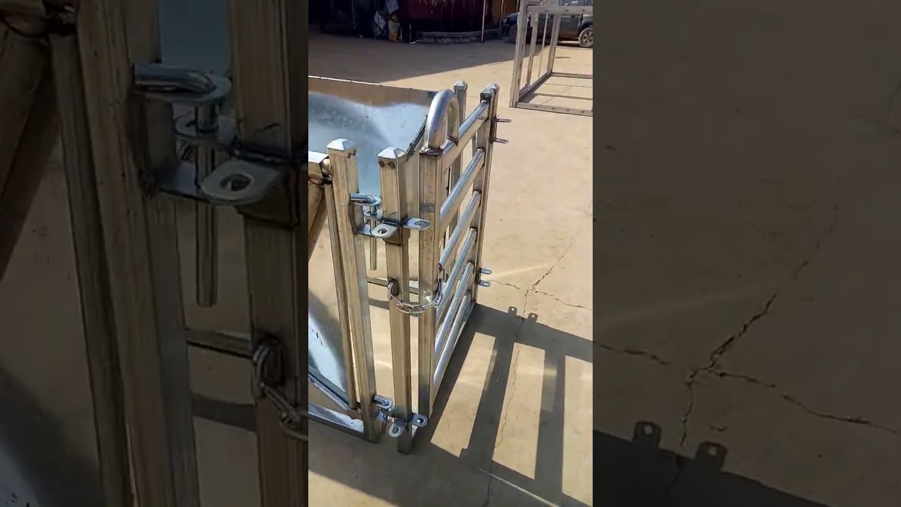 3 way draft for sheep and cattle - YouTube