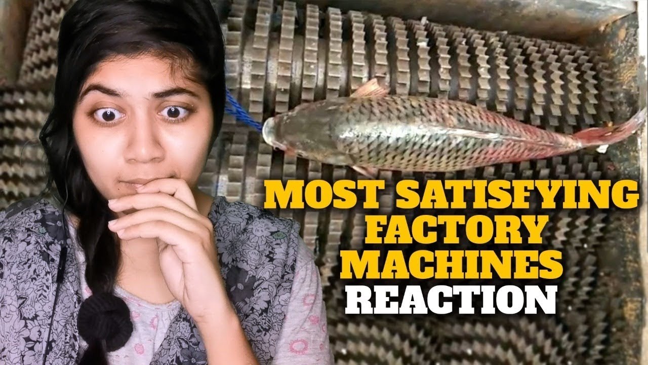 Most Satisfying Factory Machines and Ingenious Tools Reaction - YouTube