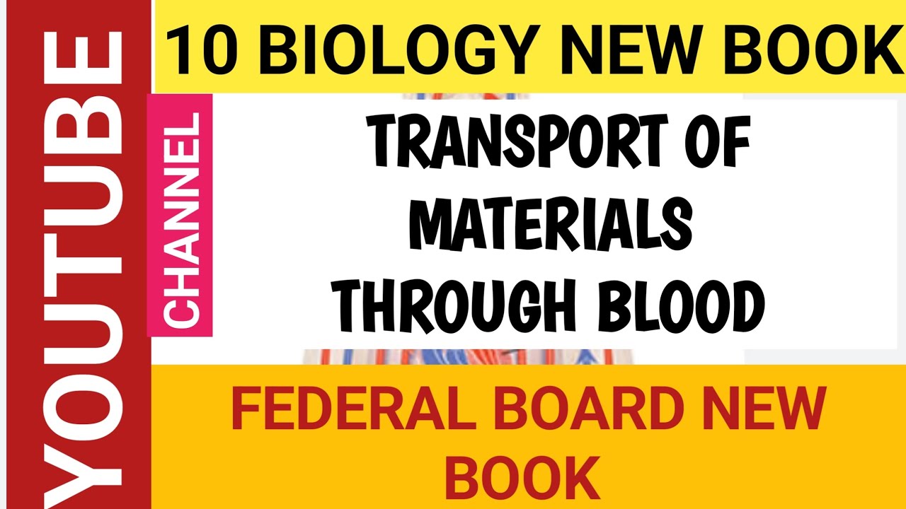 Transport of Materials through blood|| Class 10 Biology|| Federal board ...